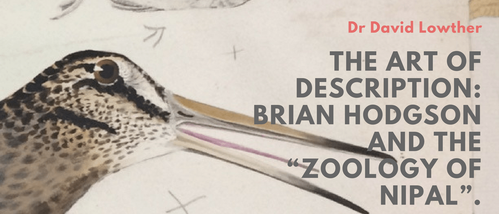 May David Lowther – AHG